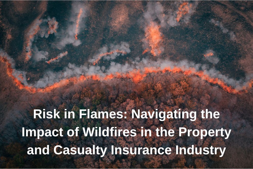 Register Now for the Spring CAS Student Central Webinar: Risk in Flames ...